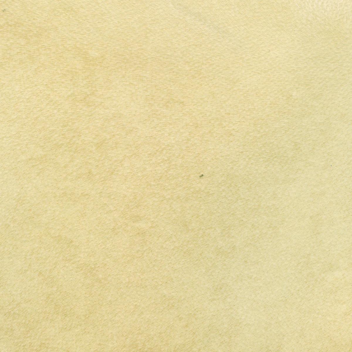 Argentinian Goatskin Parchment Vellum | TALAS