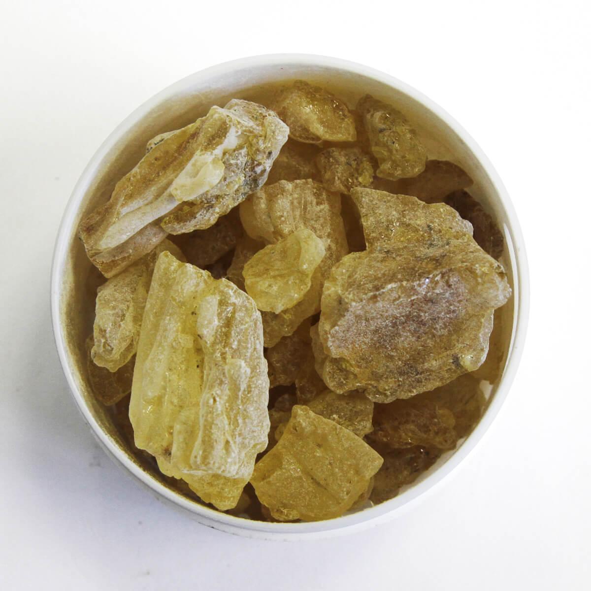 Copal Resin: Raw Material for Varnish | TALAS