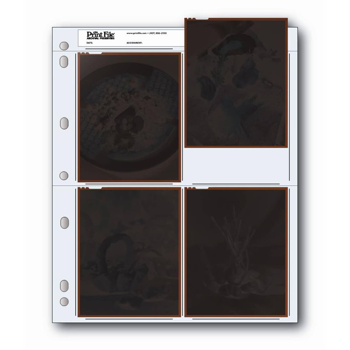 Archival Print File Large Format Storage Pages | TALAS