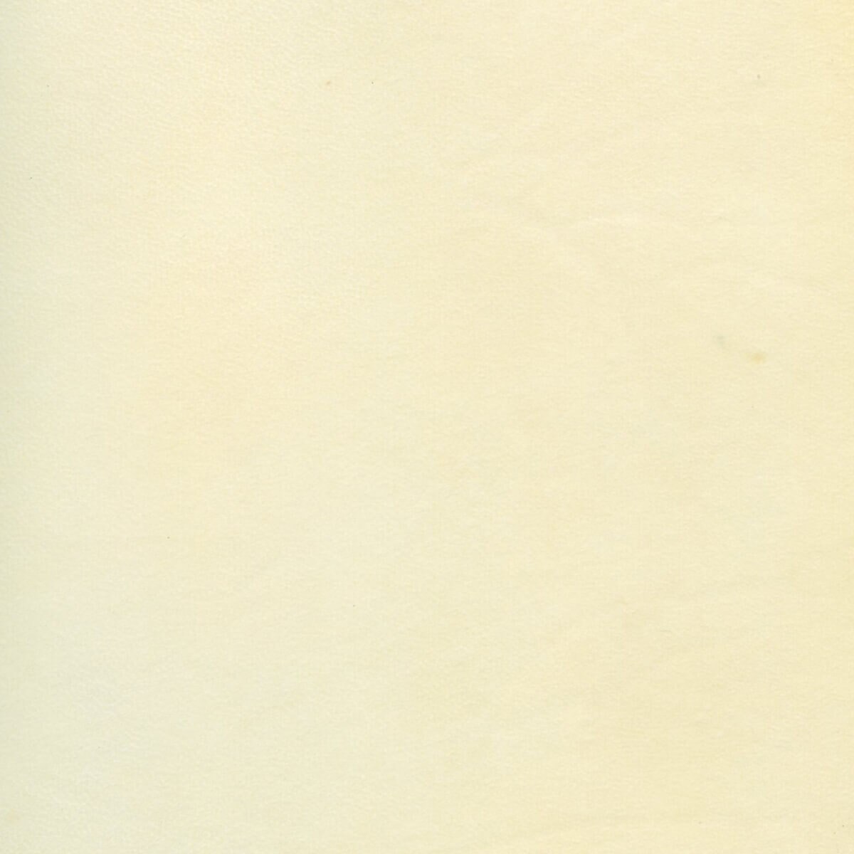 South American Genuine Parchment & Vellum Skins | TALAS