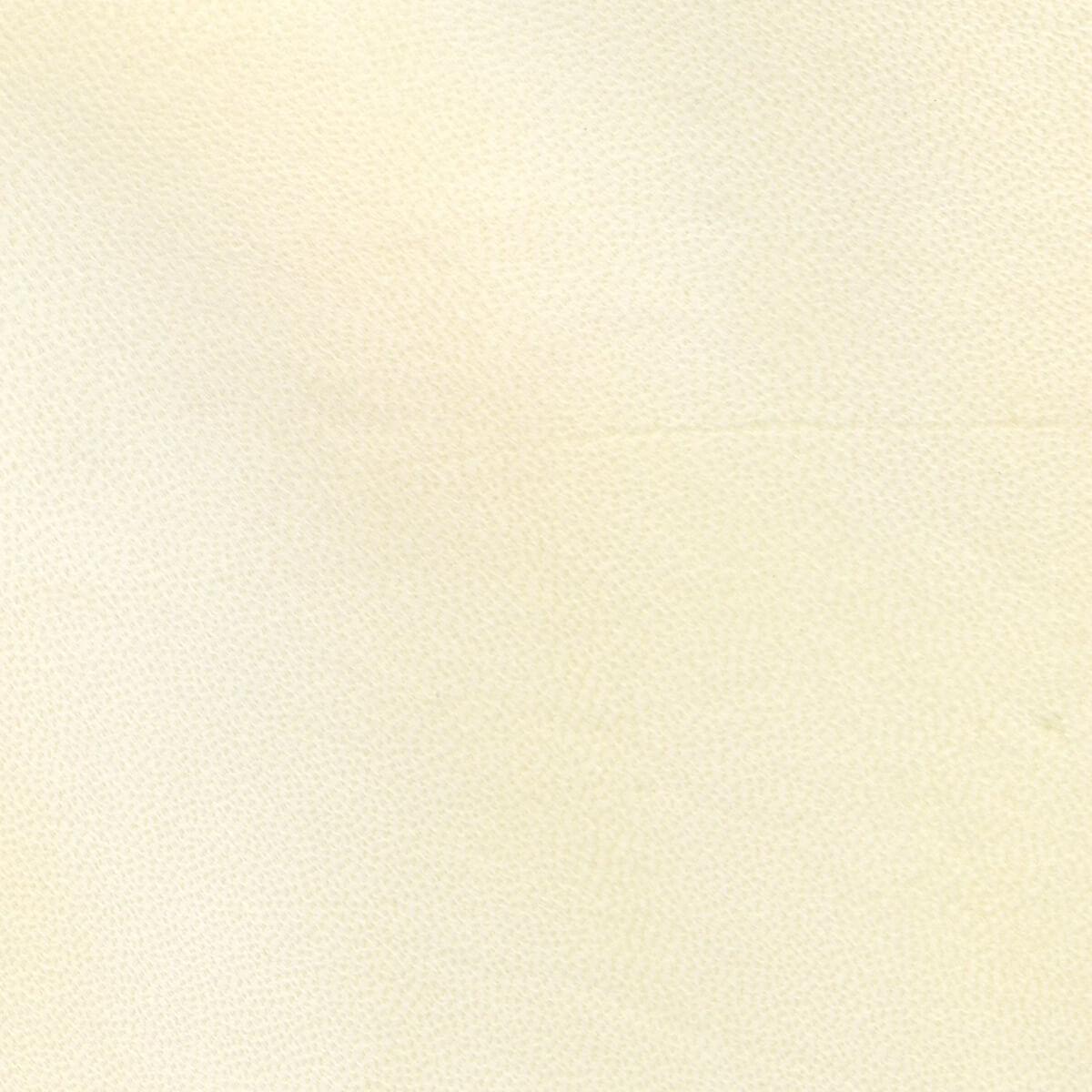 South American Genuine Parchment & Vellum Skins | TALAS