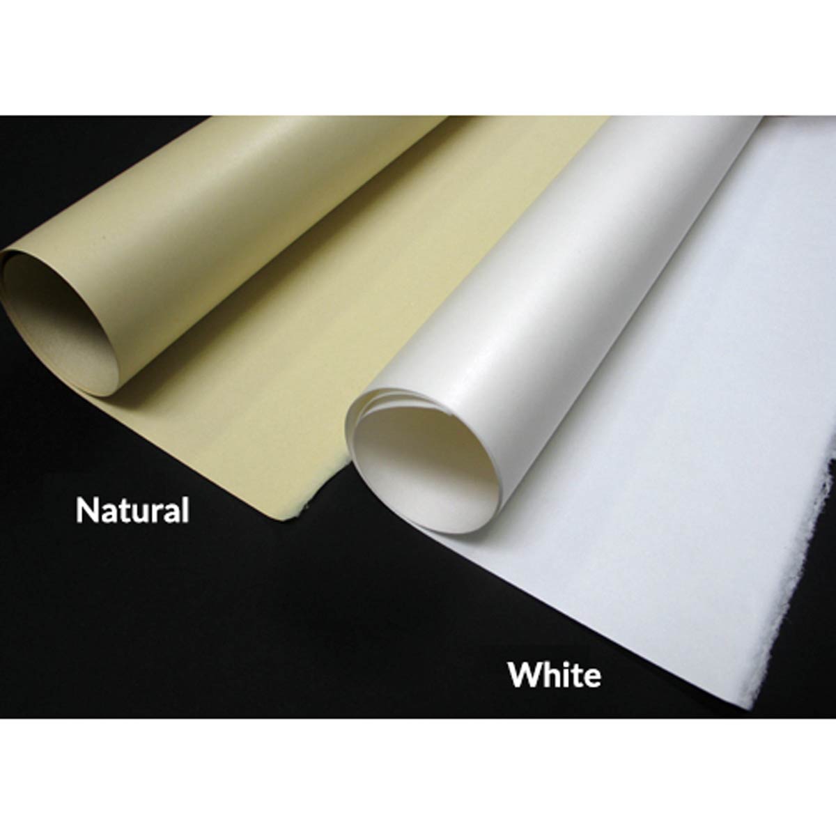 Shikoku Surface Gampi Paper | TALAS