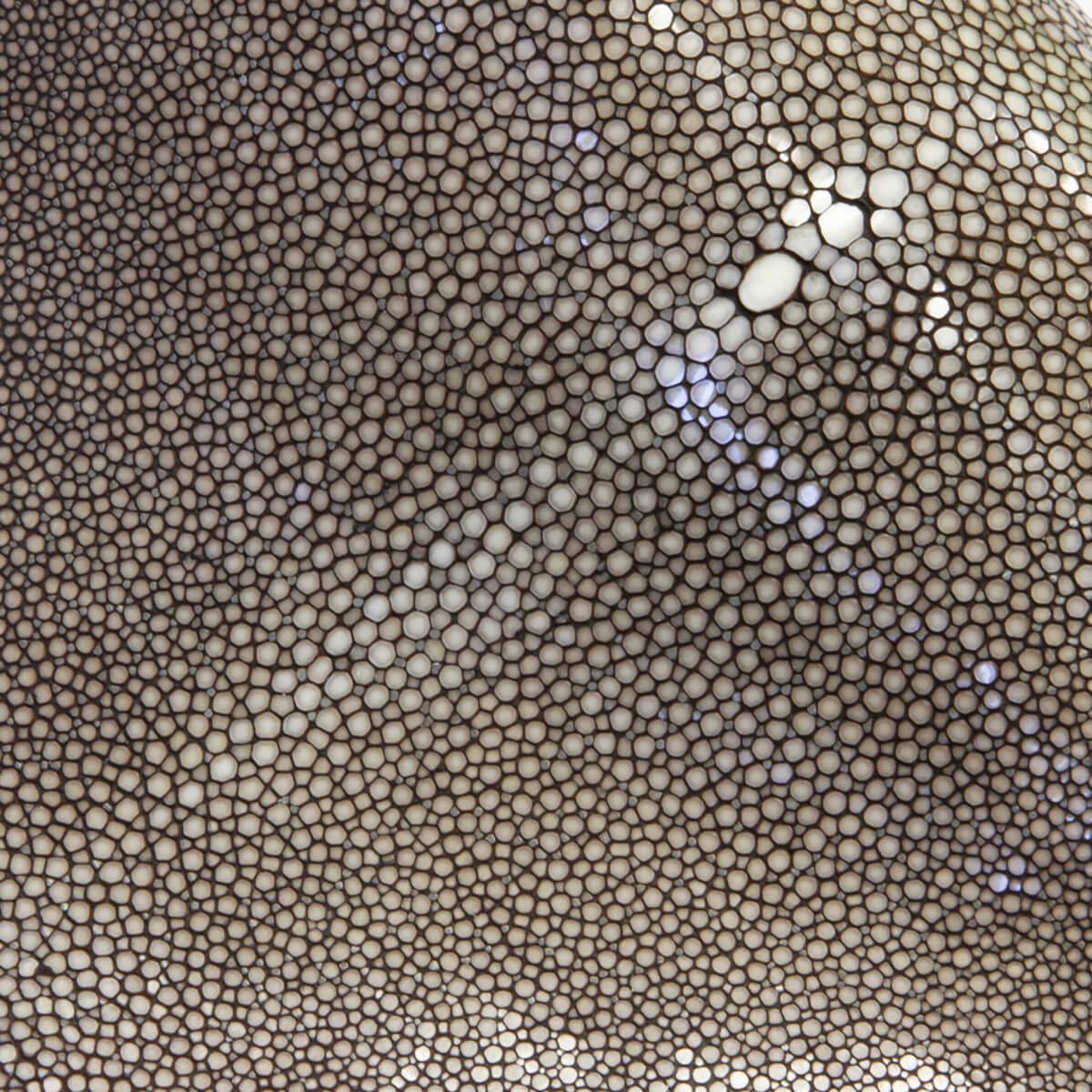 Genuine Stingray (Shagrin) Skins | TALAS