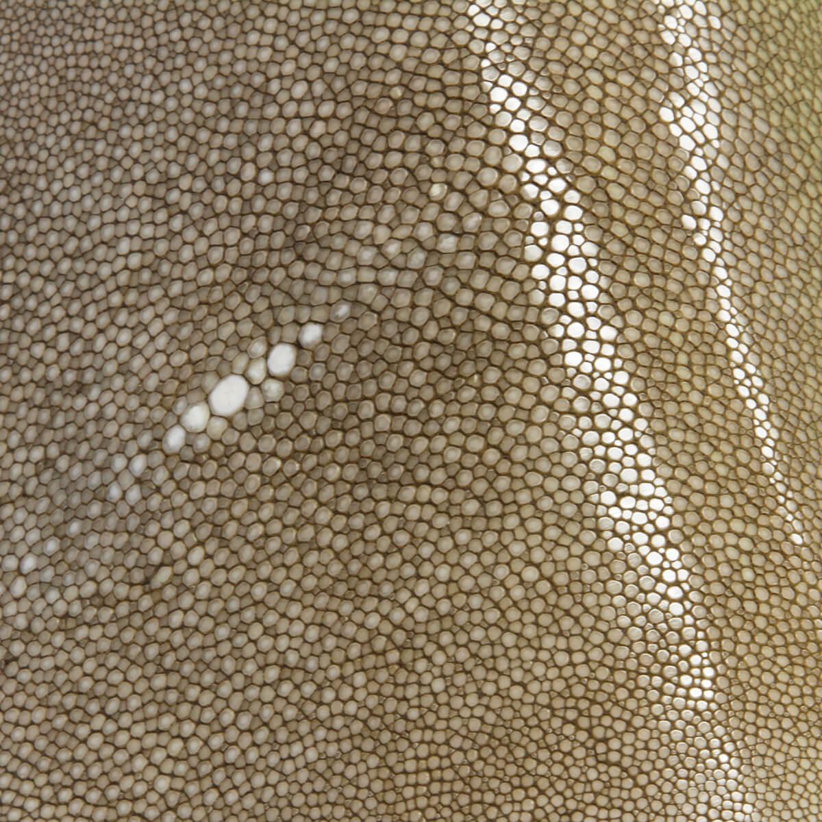 Genuine Stingray (Shagrin) Skins | TALAS