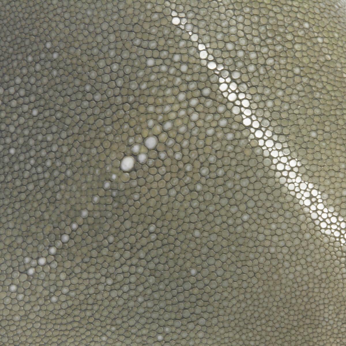 Genuine Stingray (Shagrin) Skins | TALAS