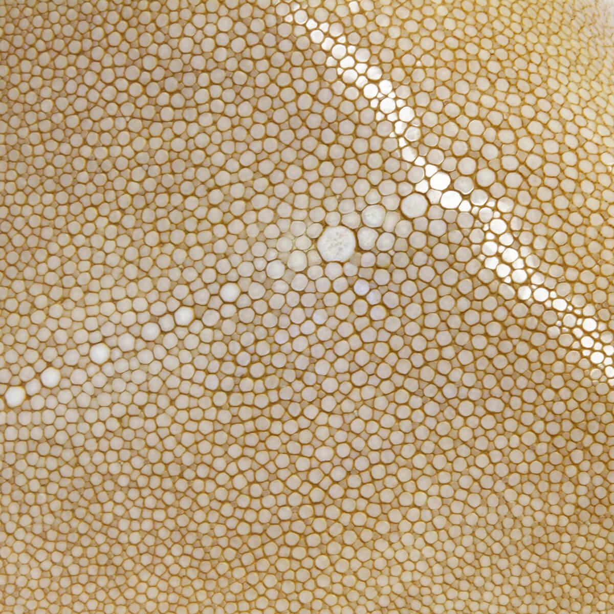 Genuine Stingray (Shagrin) Skins | TALAS