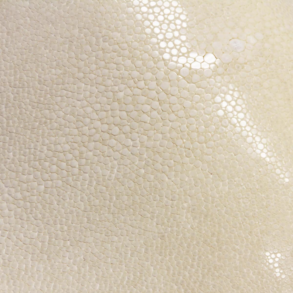 Genuine Stingray (Shagrin) Skins | TALAS