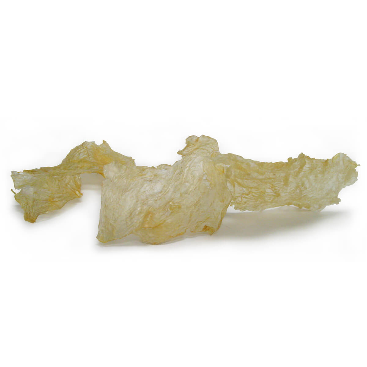 Sturgeon Glue (Isinglass) | TALAS