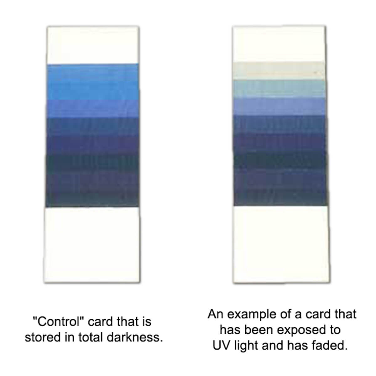 Blue Scales: Textile Fading Cards | TALAS